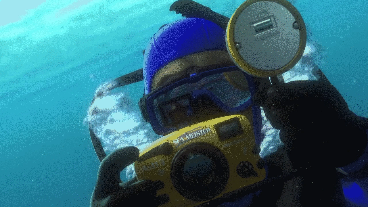 Diver | Pixar Wiki | Fandom