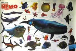 Moon Fish Finding Nemo