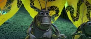 Molt | Pixar Wiki | Fandom