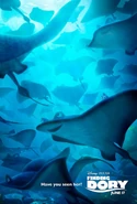 Finding Dory | Pixar Wiki | Fandom