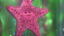 Finding Nemo Starfish