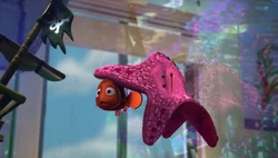 Finding Nemo Starfish
