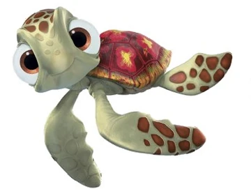 finding nemo turtle species