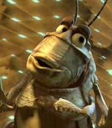 Molt | Pixar Wiki | Fandom
