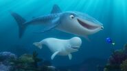 Finding Dory | Pixar Wiki | Fandom