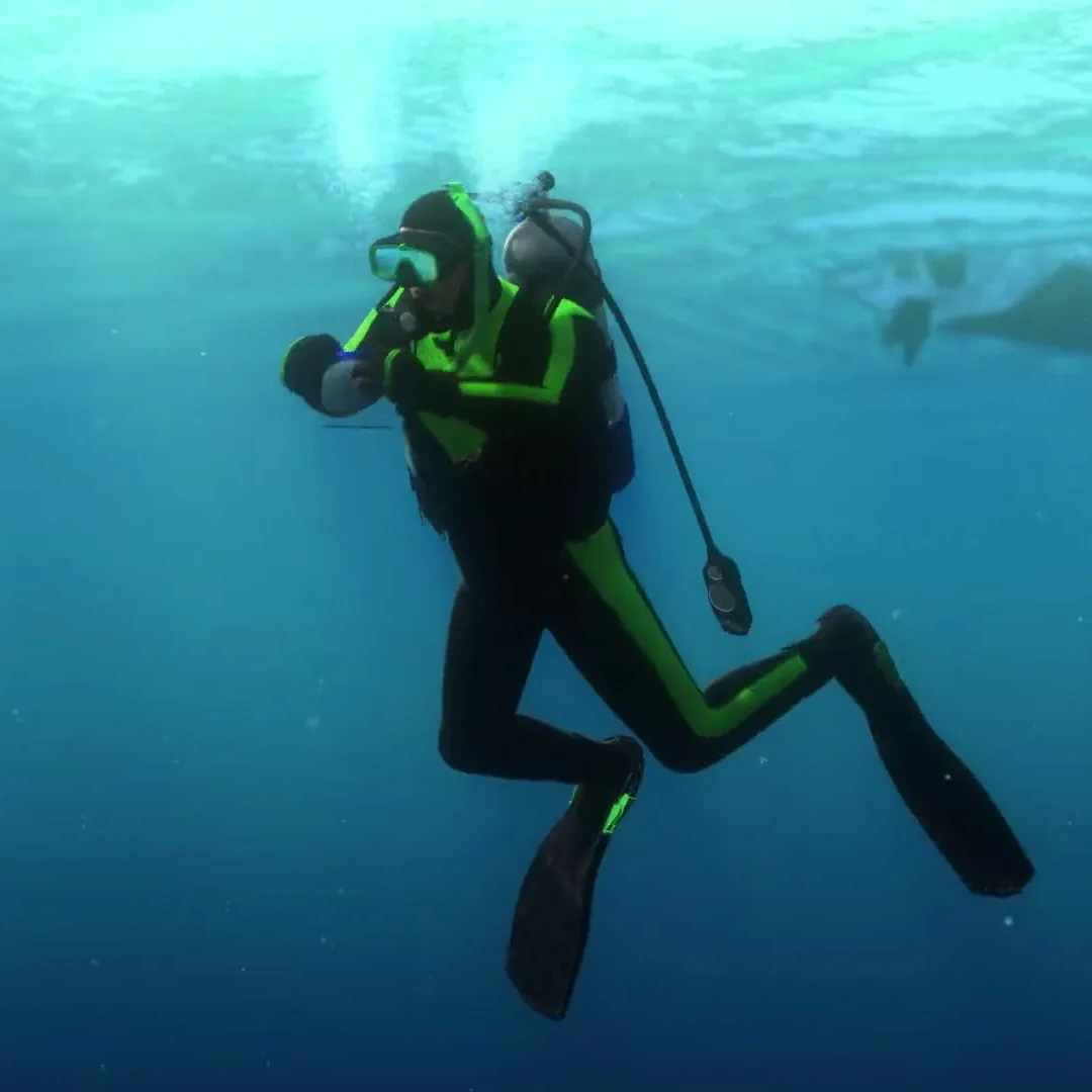 Finding Nemo P Sherman