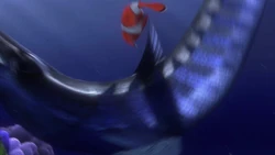 Finding Nemo Barracuda Eats Coral