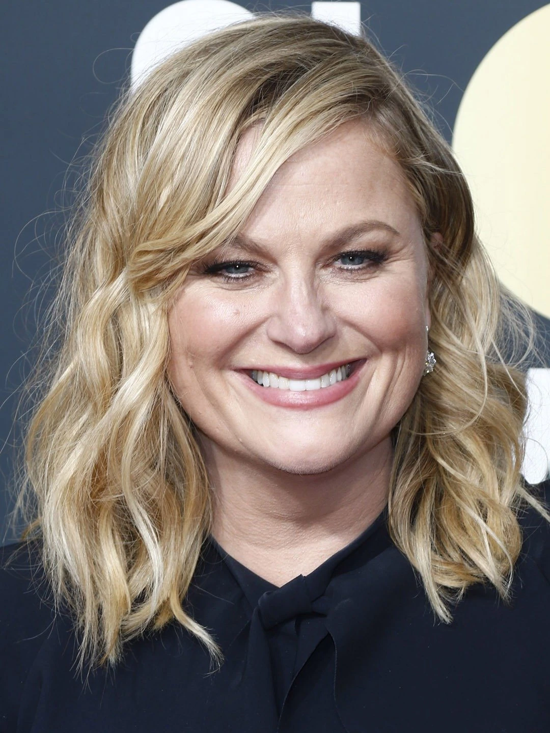 Amy Poehler | Pixar Fanon Wiki | Fandom