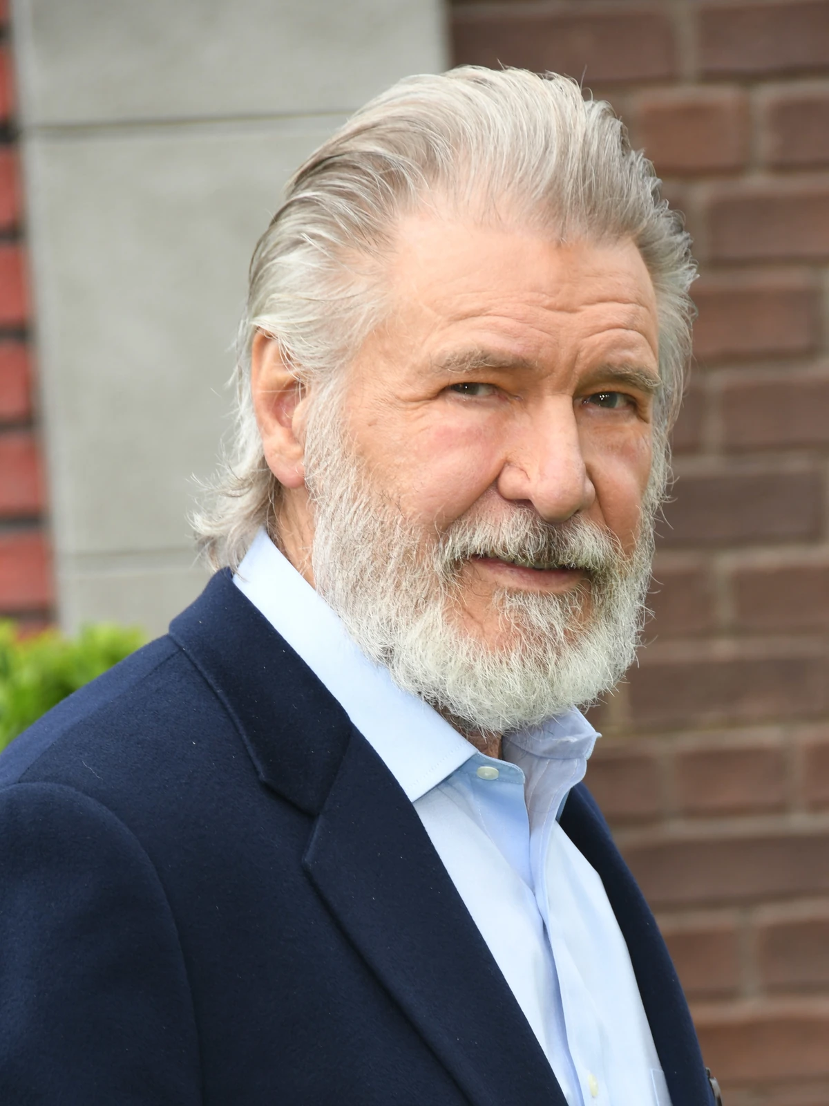 Harrison Ford | Pixar Fanon Wiki | Fandom