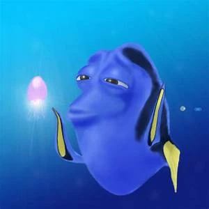 Finding Nemo Dory And Squishy