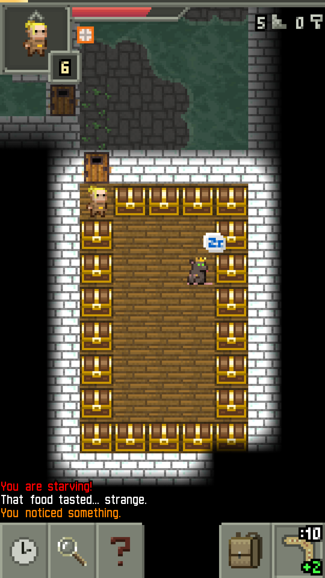 Rat king | Pixel Dungeon Wiki | Fandom