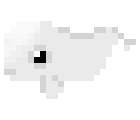 Beluga Whale | Pixel People Wiki | Fandom