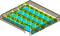 Paddy Fields | Pixel People Wiki | Fandom