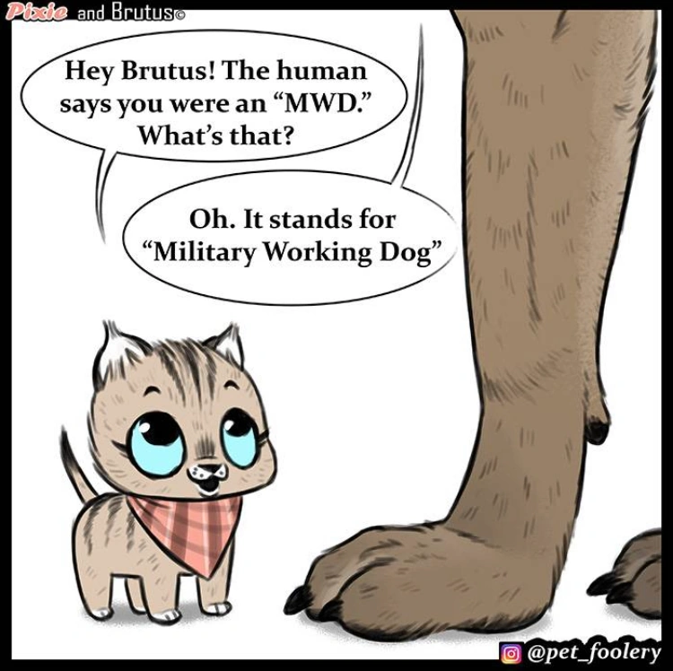 War | Pixie and Brutus Wiki | Fandom