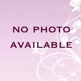 Fairy Force | Pixie Girl Wikia | Fandom