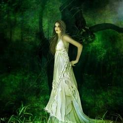 Pixies Beautiful Creature