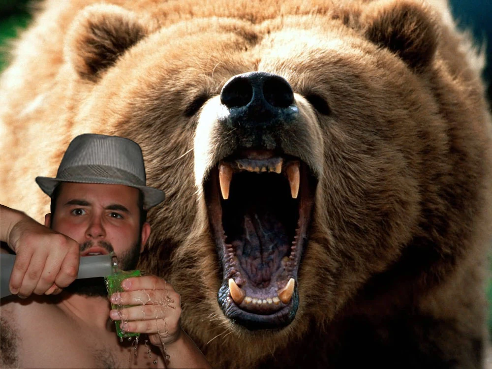 Bear | PIX AND NIG'S THINGS TO KNOW Wiki | Fandom
