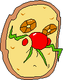 Pizzaface Scoutdigo Pizza Tower Mods Wiki Fandom