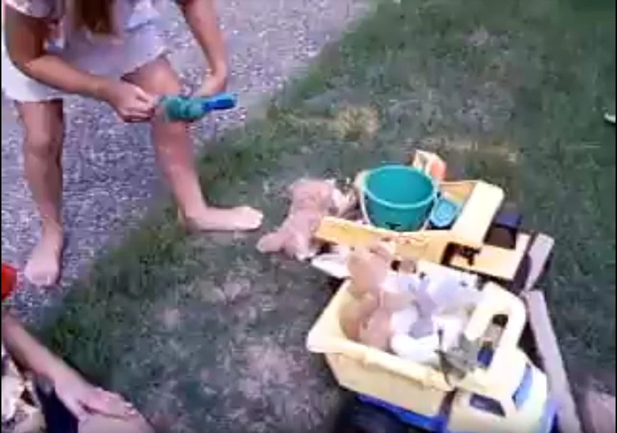 Starfire/Gallery | Kyle Books Wiki | Fandom