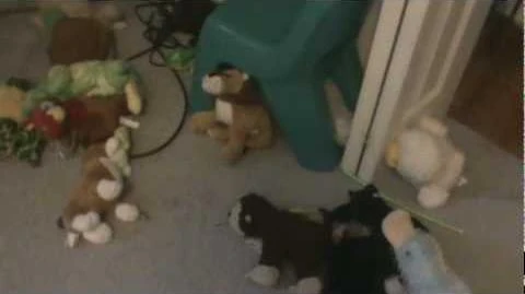 Webkinz: The Cheeky Monkey | Kyle Books Wiki | Fandom