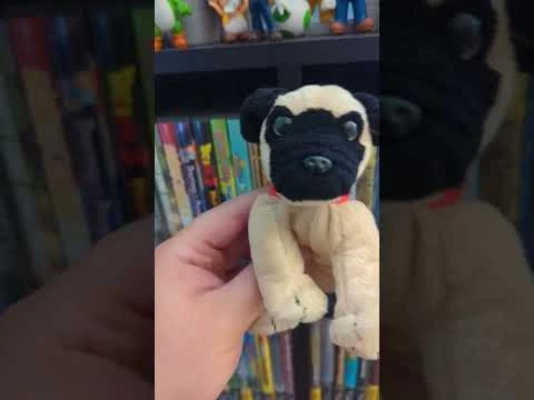 They made a Nintendogs Plush? | Kyle Books Wiki | Fandom