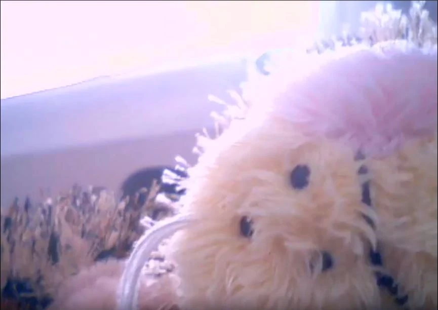 Lemony/Gallery | Kyle Books Wiki | Fandom