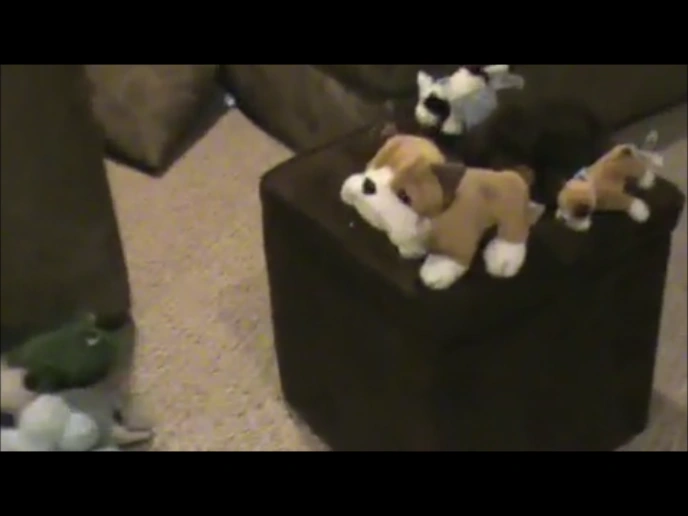 Church | Kyle Books Wiki | Fandom