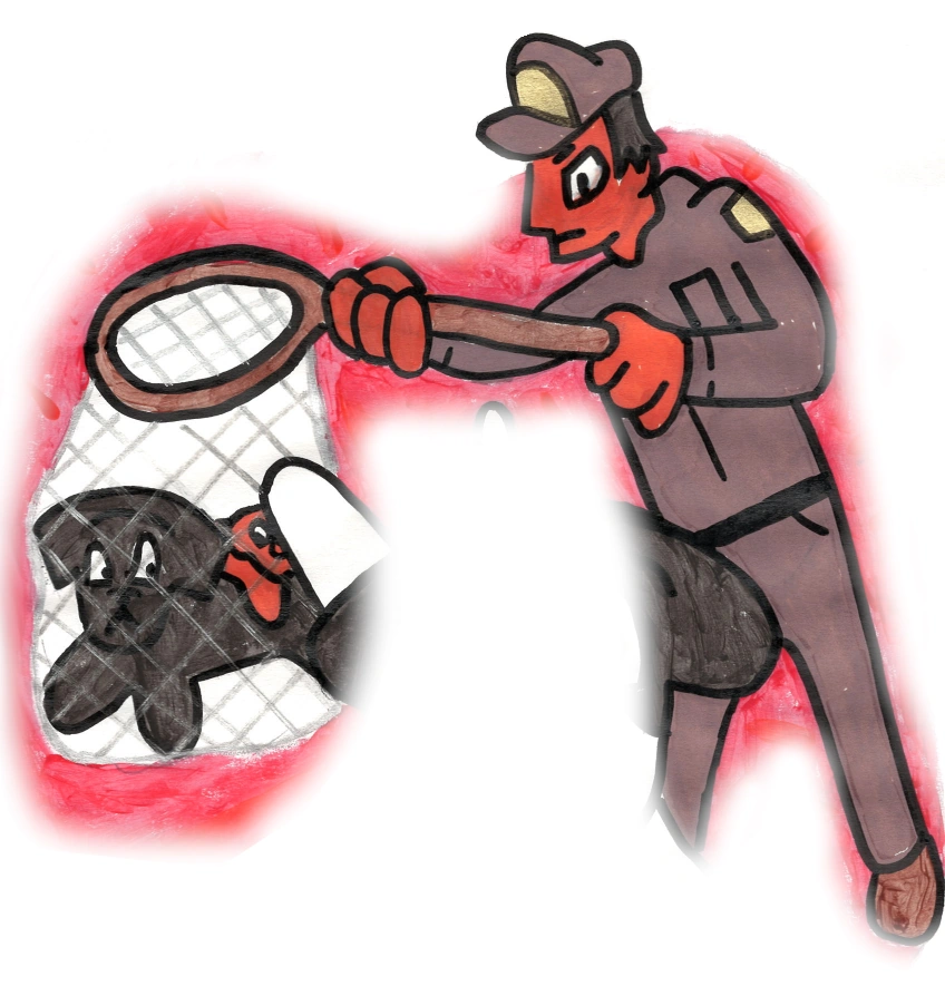 C-102/Lightning Paws | Kyle Books Wiki | Fandom