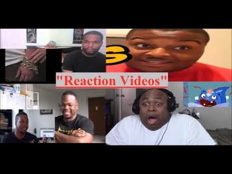Reaction Videos Rant | Kyle Books Wiki | Fandom