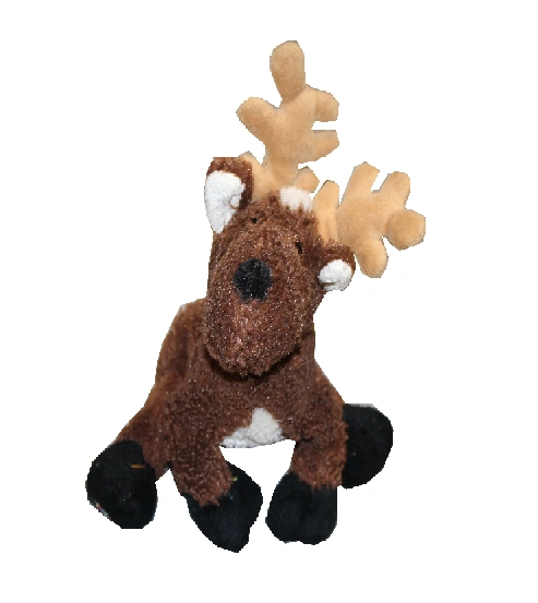 Cookie | Kyle Books Wiki | Fandom