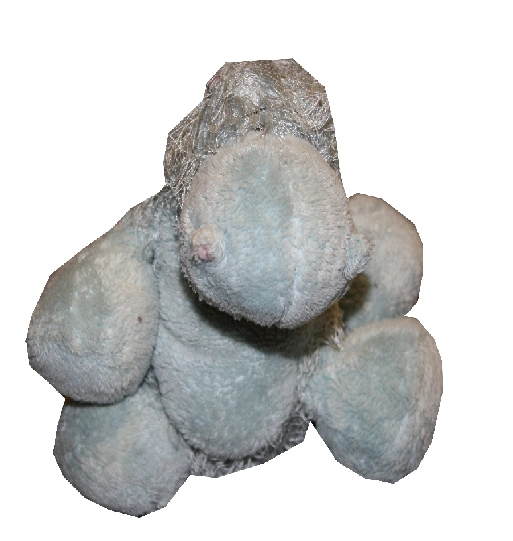 Birthday | Kyle Books Wiki | Fandom