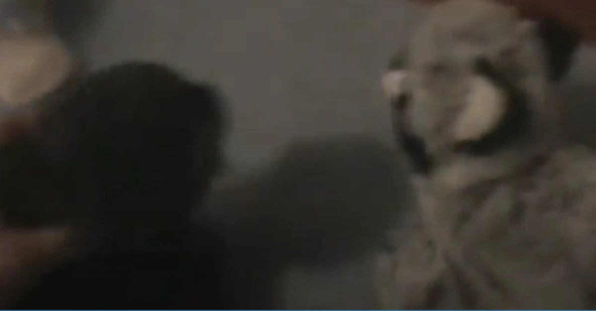 Nibble's Dream Land | Kyle Books Wiki | Fandom