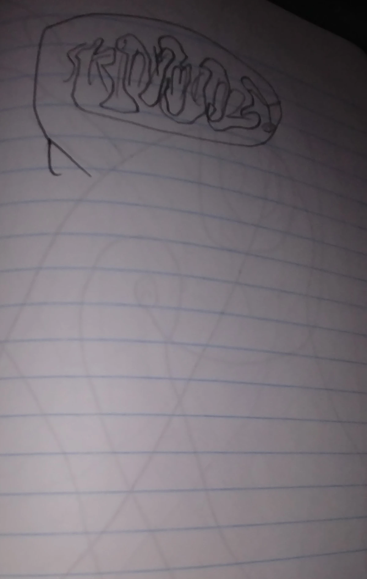 Tyler's Notebook/Skinny Man 2 | Kyle Books Wiki | Fandom