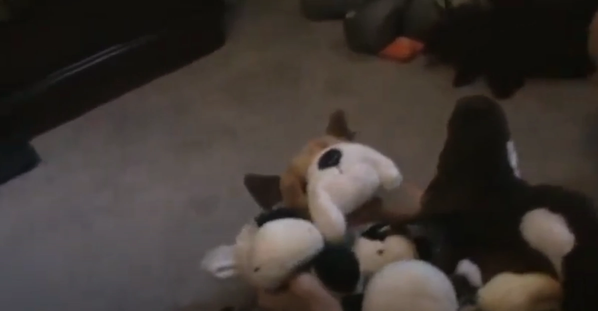 Hey! | Kyle Books Wiki | Fandom