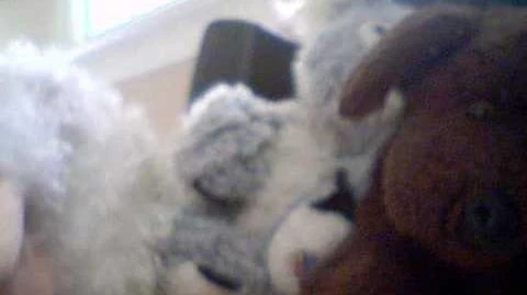 My Webkinz 2 | Kyle Books Wiki | Fandom