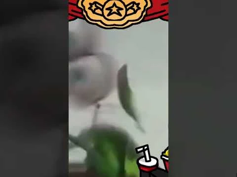 Turbo dies clip from my Turbo Review | Kyle Books Wiki | Fandom