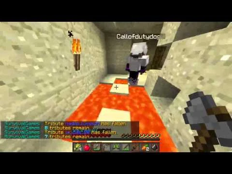 Minecraft Hunger Games 17 | Kyle Books Wiki | Fandom
