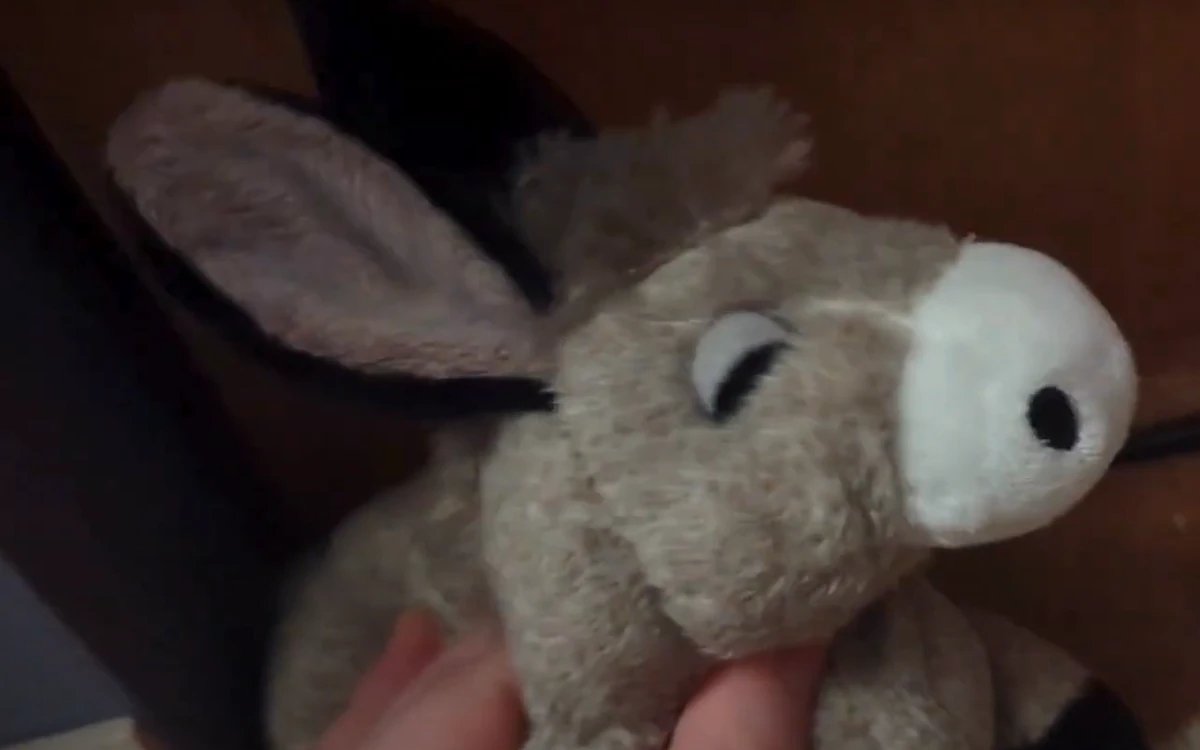 Donkey | Kyle Books Wiki | Fandom