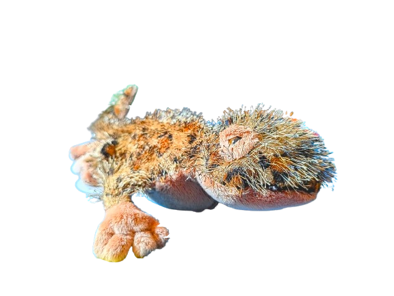 Carver | Kyle Books Wiki | Fandom