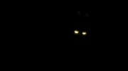 Dreadbear | Five Nights at Freddy's Wiki | Fandom