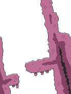 Crust Cove | Pizza Tower Wiki | Fandom