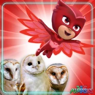 Owlette/Gallery | PJ Masks Wiki | Fandom