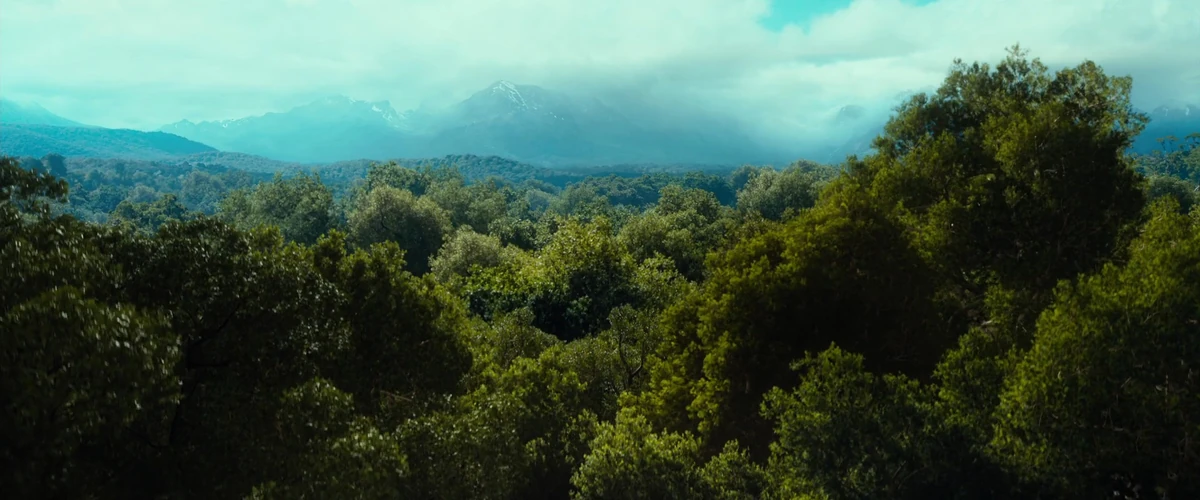 Mirkwood | Middle-earth Cinematic Universe wiki | Fandom