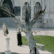 White Tree of Gondor | Middle-earth Cinematic Universe wiki | Fandom