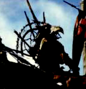 Harad Shaman | Middle-earth Cinematic Universe wiki | Fandom