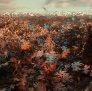 Mirkwood | Middle-earth Cinematic Universe wiki | Fandom