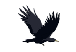 Crebain | Middle-earth Cinematic Universe wiki | Fandom