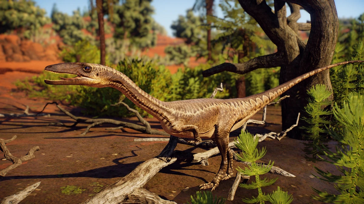 Coelophysis | Prehistoric Kingdom Wiki | Fandom