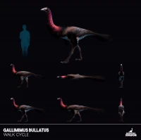 Gallimimus | Prehistoric Kingdom Wiki | Fandom