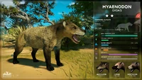 Hyaenodon | Prehistoric Kingdom Wiki | Fandom